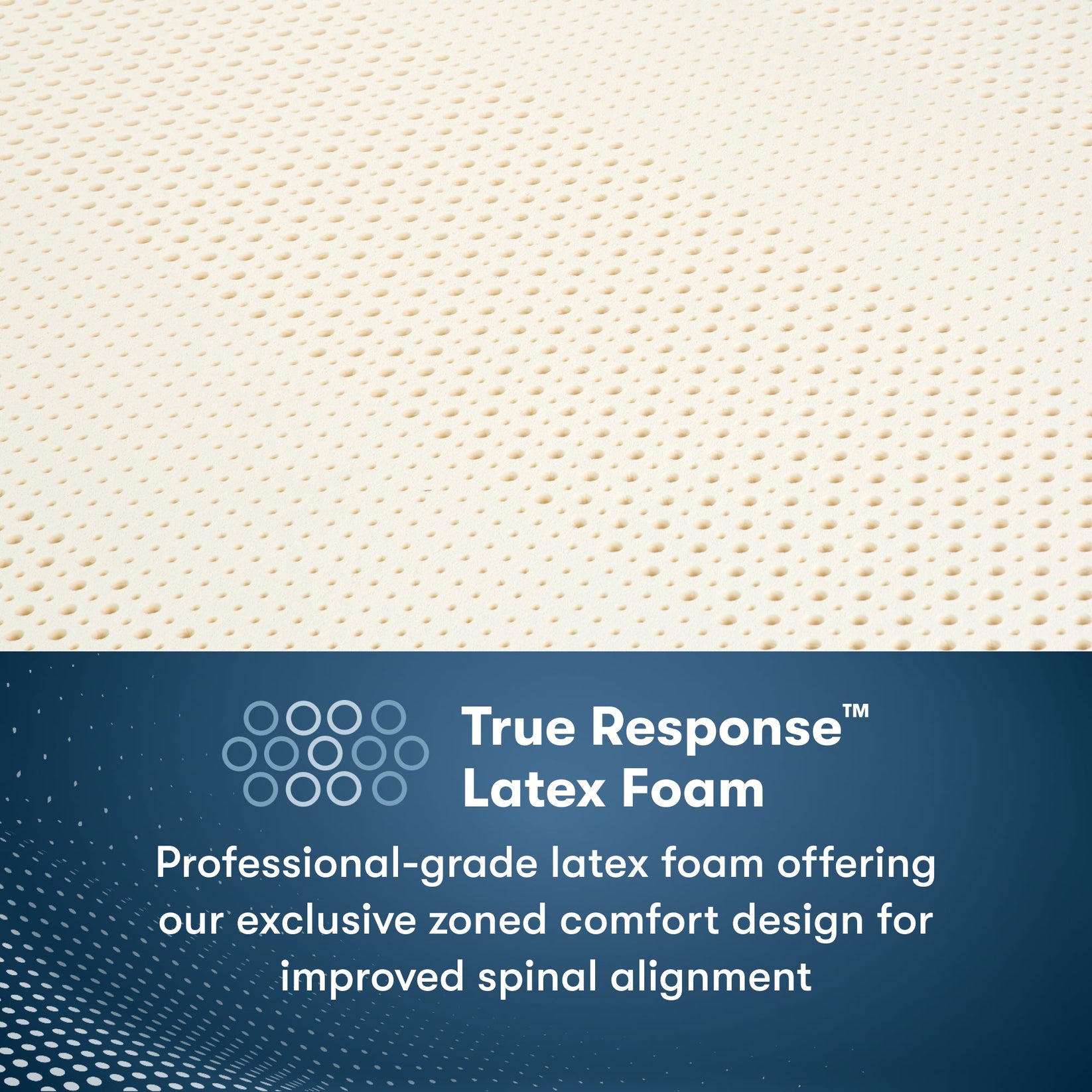 Serta Perfect Sleeper Pro Mattress with 5 Zones